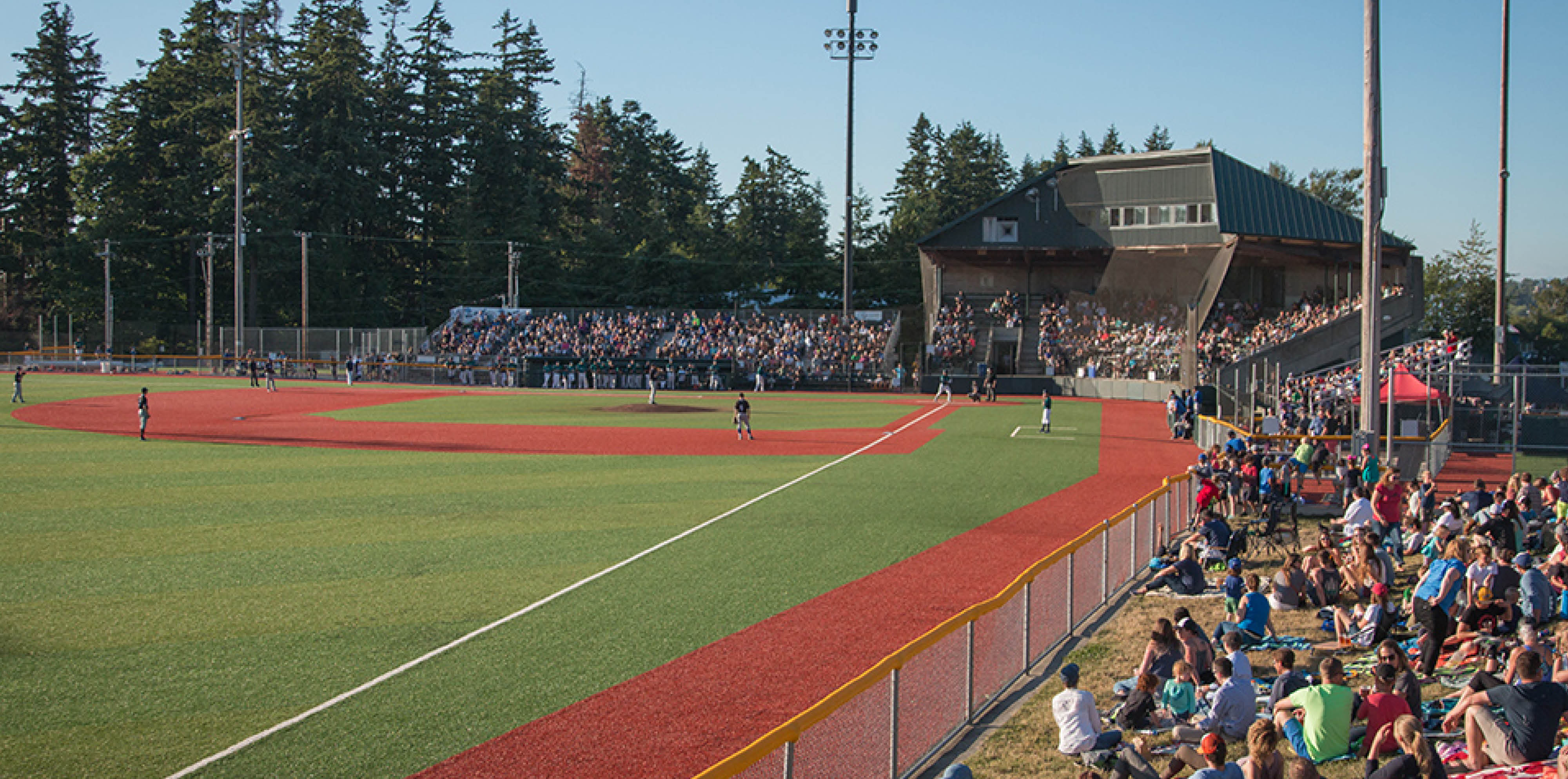 Bellingham Bells: News